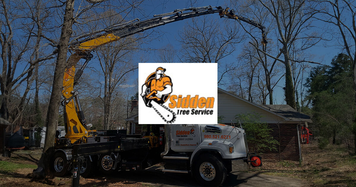Gallery | Sidden Tree Service
